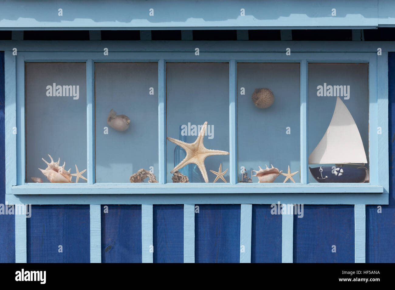 Window with starfish and maritime decorations on a fisherman's hut, Le ...