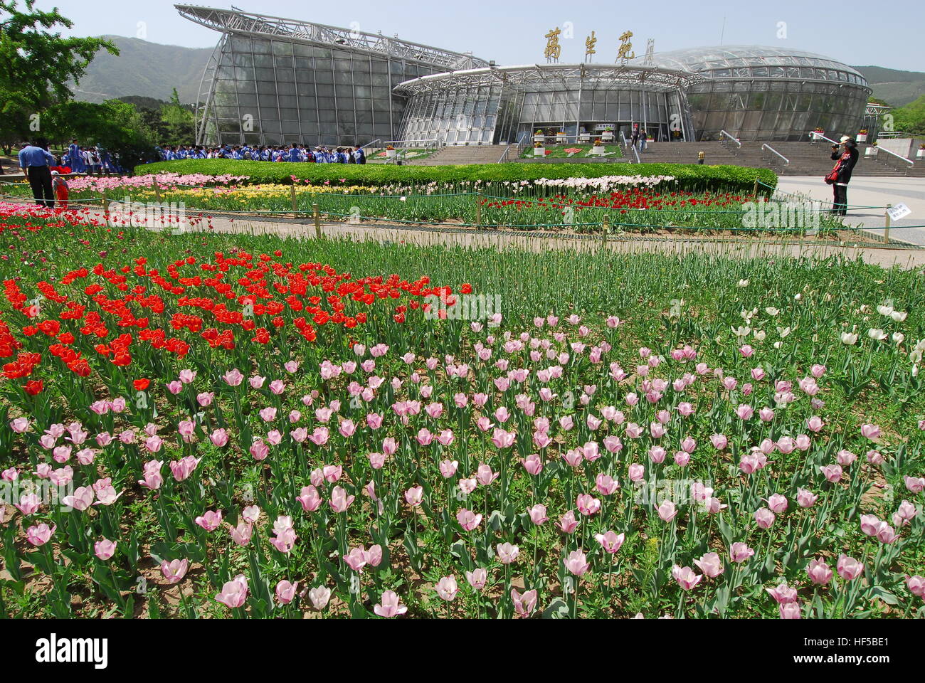 Beijing Botanical Garden Stock Photo - Alamy