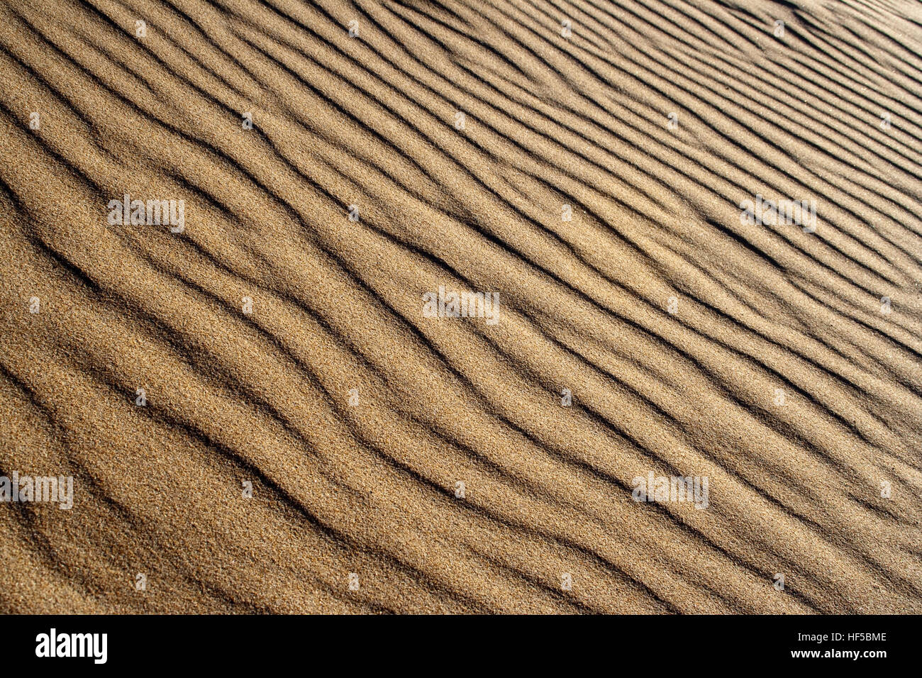 Texture of sand Stock Photo - Alamy