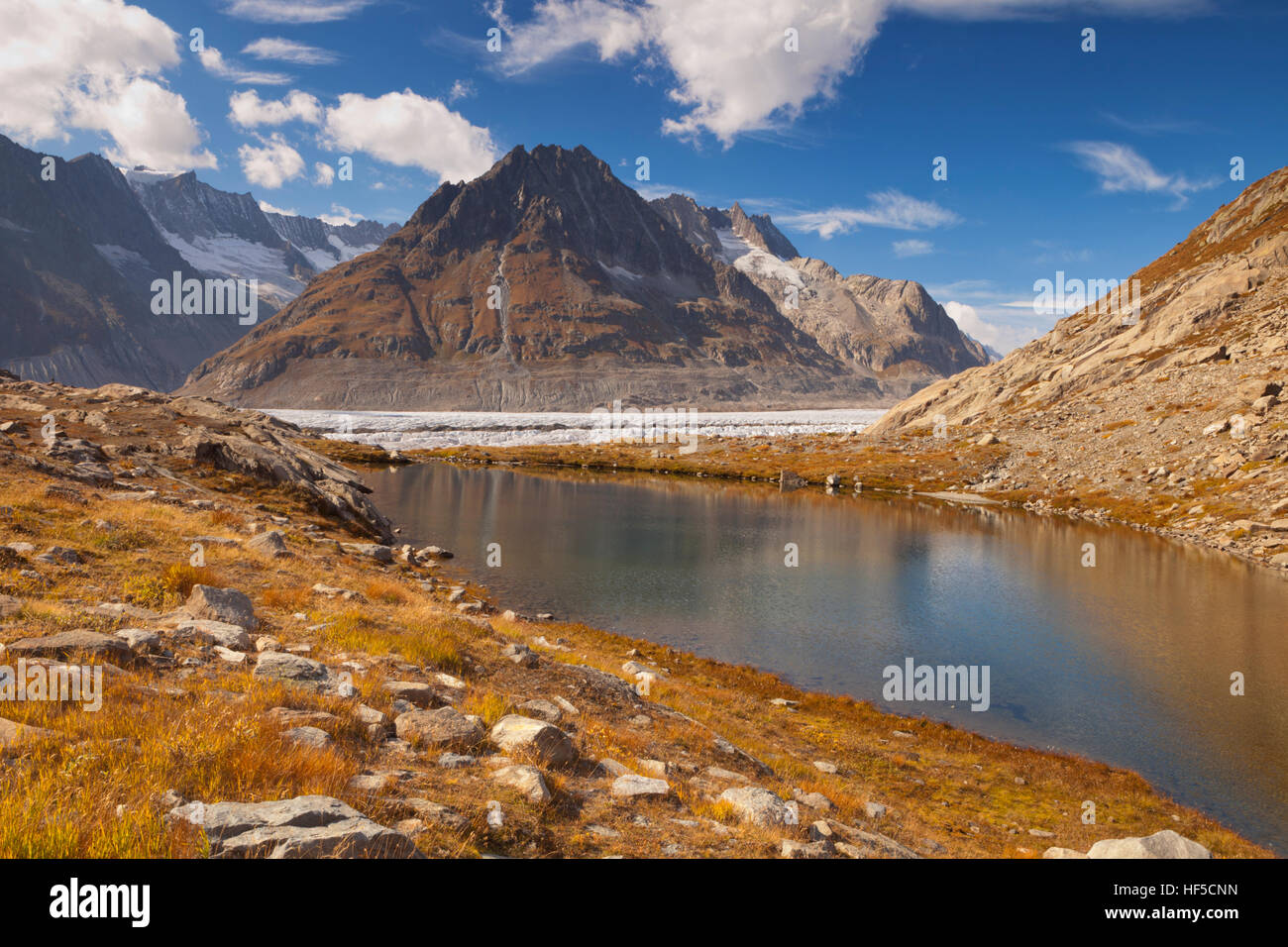 A small lake along the Aletsch Glacier in the Swiss Alps Stock Photo ...