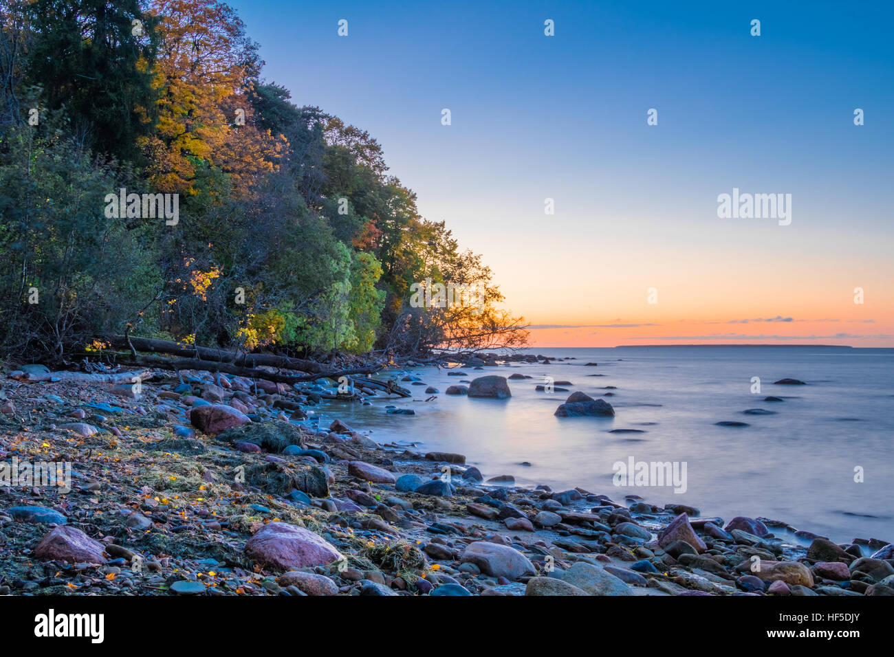 Autumn beach trees hi-res stock photography and images - Alamy