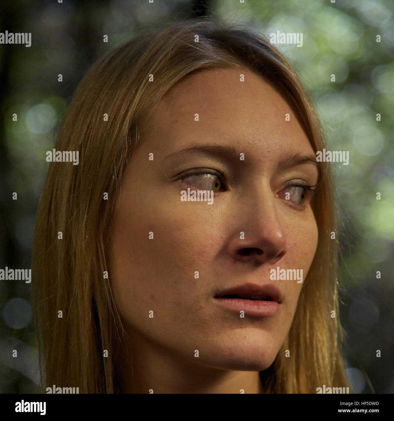 ALICIA'S DREAM, Paige Sturges, 2016. © Araneda Films /Courtesy Evertt ...