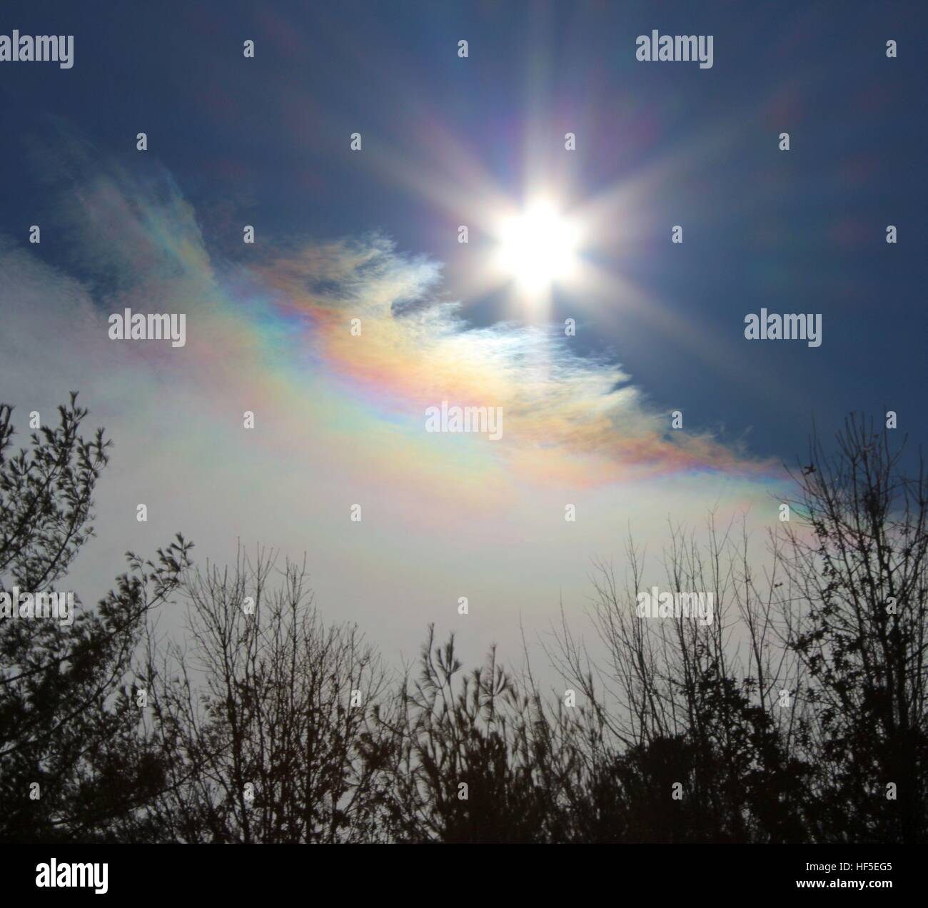 A Gift From God On Christmas Day; The Sun Comes Out From Behind ...