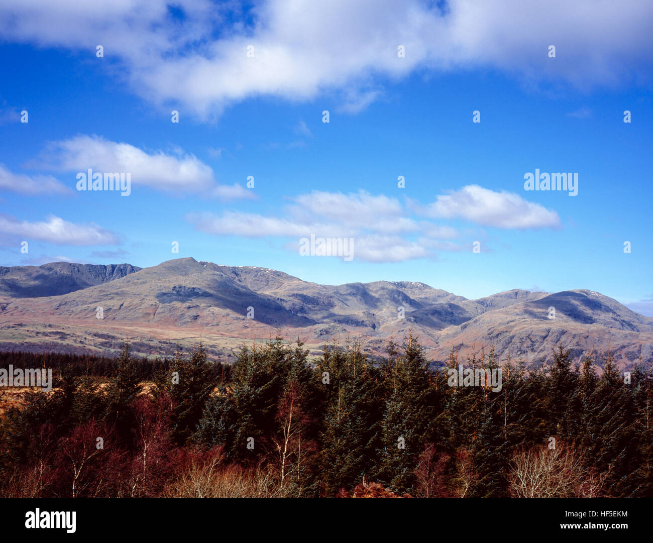 The Old Man of Coniston and Wetherlam from Carron Crag Grizedale Forest ...