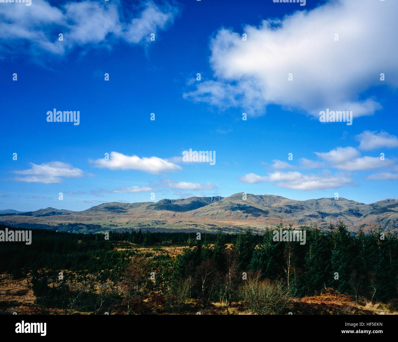 The Old Man of Coniston and Wetherlam from Carron Crag Grizedale Forest ...
