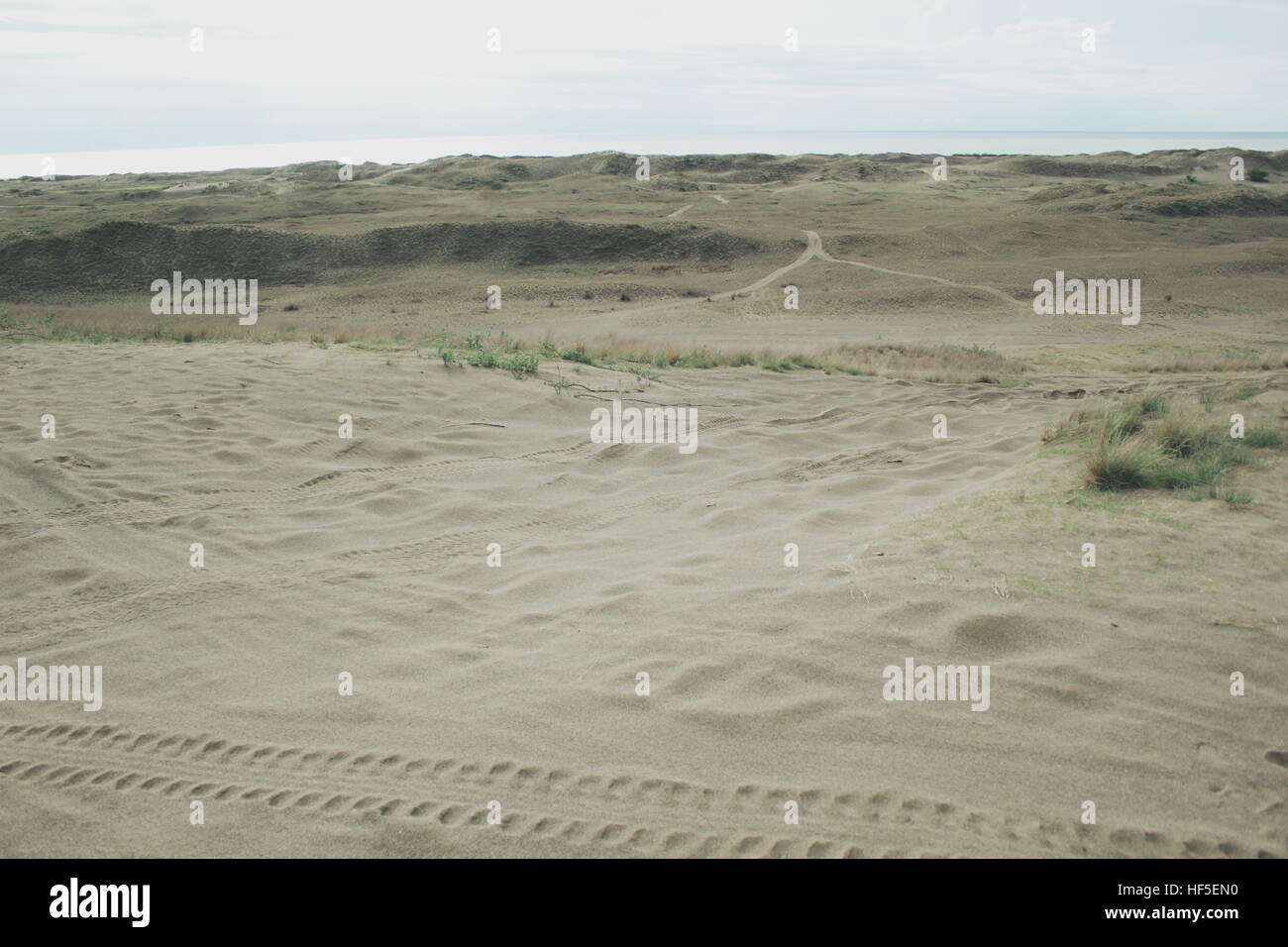 Sand dume with trails in Ilocos Stock Photo - Alamy