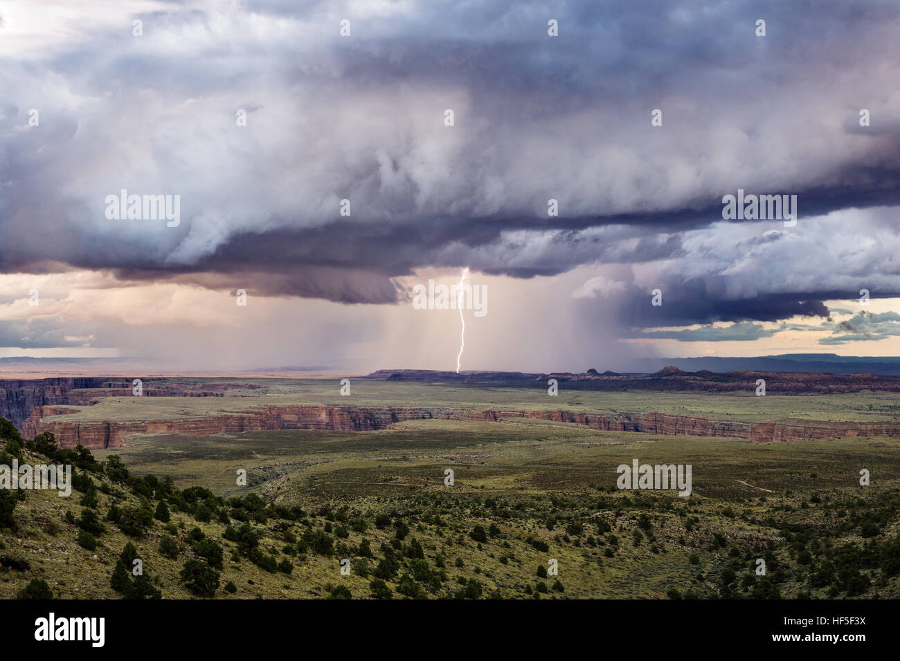 Lightning Striking High Resolution Stock Photography and Images - Alamy