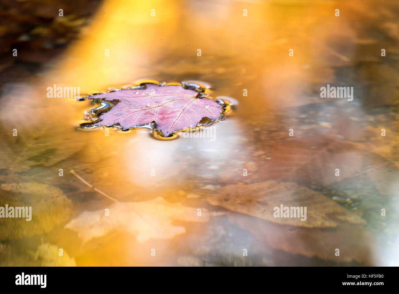 New haven river hi-res stock photography and images - Alamy