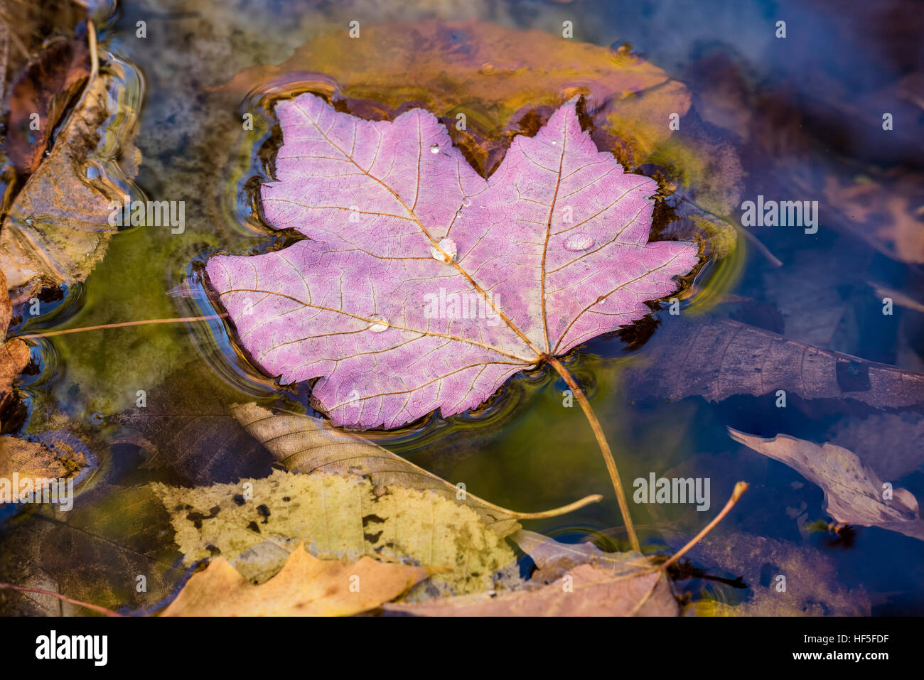 New haven river hi-res stock photography and images - Alamy