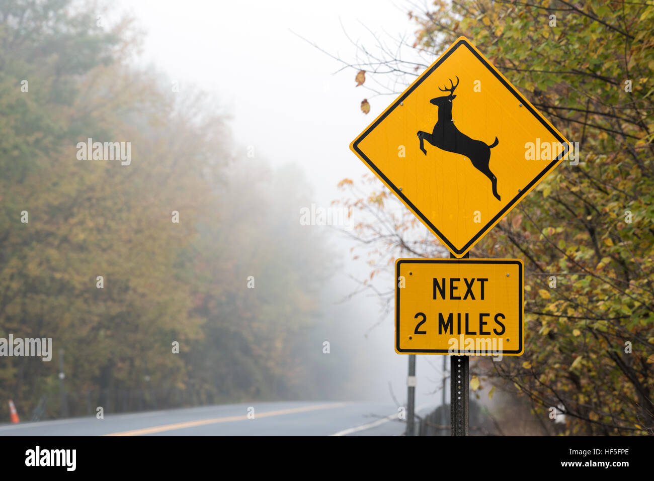 Deer crossing highway sign on hi-res stock photography and images - Alamy