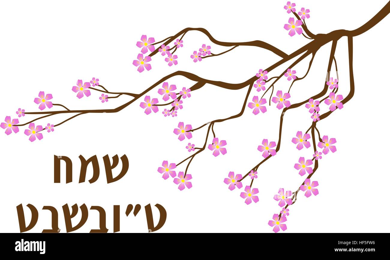 Tu bishvat vector hi-res stock photography and images - Alamy