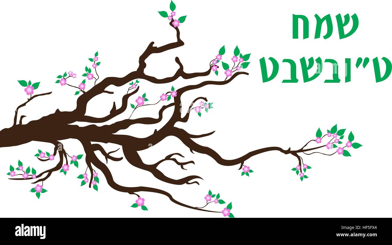 Tu Bishvat greeting card, poster. Jewish holiday, new year of trees ...