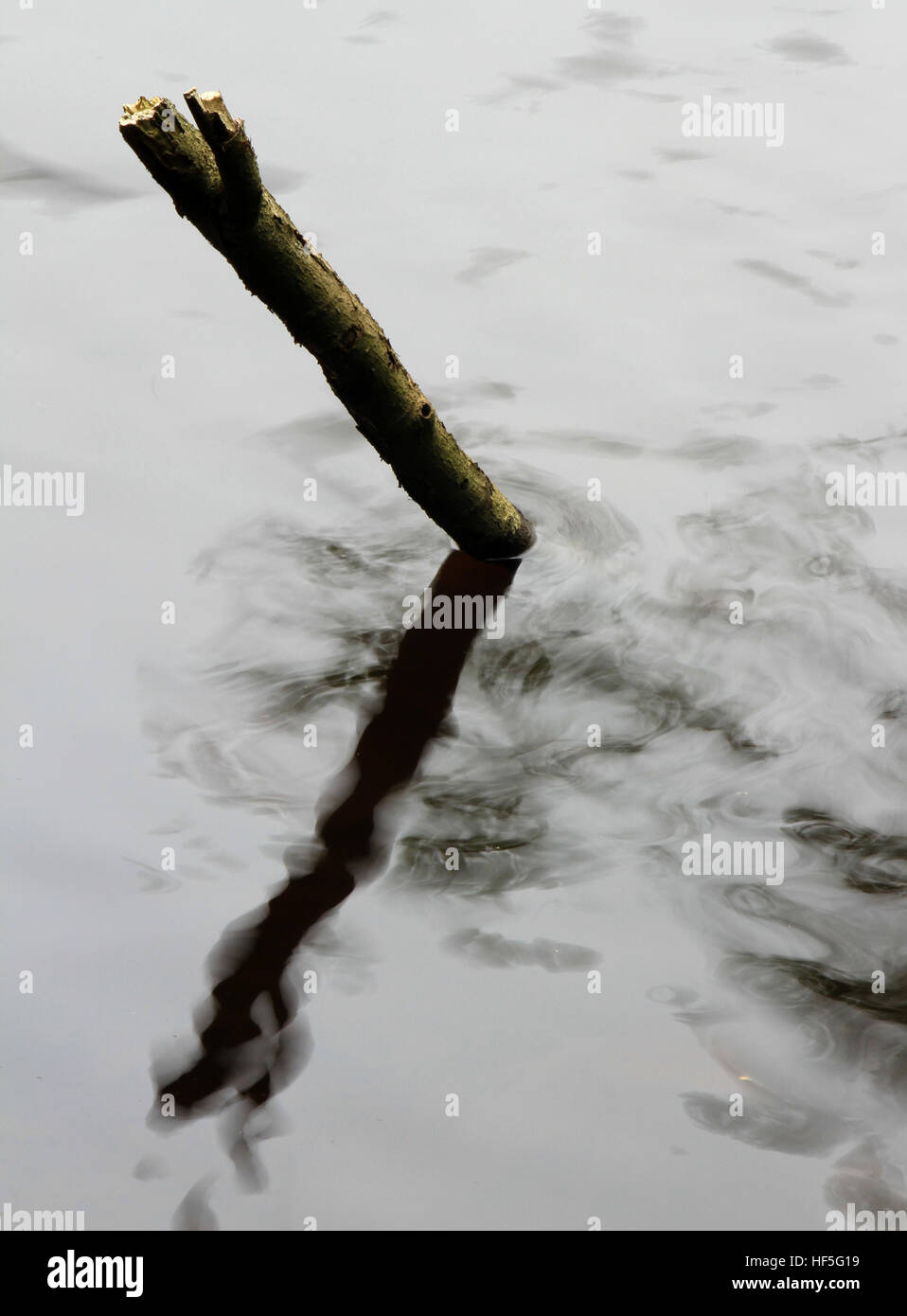 Stick water ripple hi-res stock photography and images - Alamy