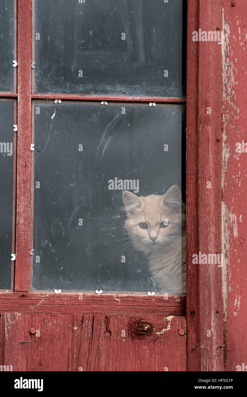 Canyon county hi-res stock photography and images - Alamy