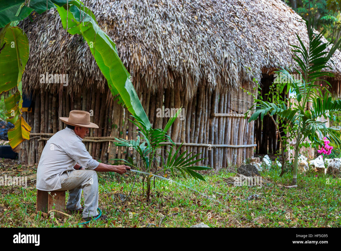 Ancient aztec farming hi-res stock photography and images - Alamy