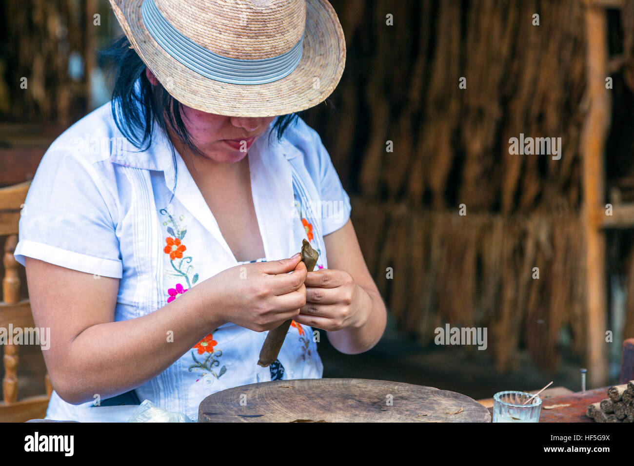 Hand rolling tobacco hi-res stock photography and images - Alamy