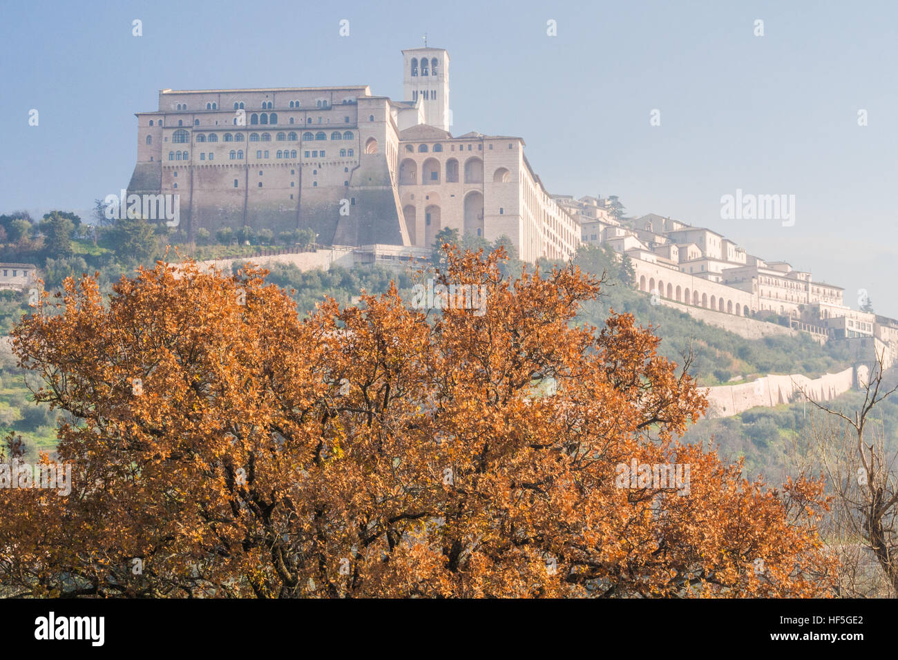 St francis basilica hi-res stock photography and images - Alamy