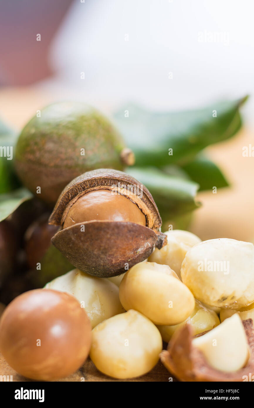 Macadamia nuts harvest close up Stock Photo - Alamy