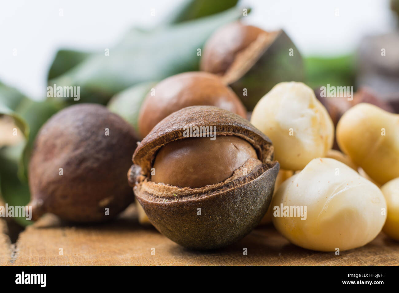 Macadamia nuts harvest close up Stock Photo - Alamy