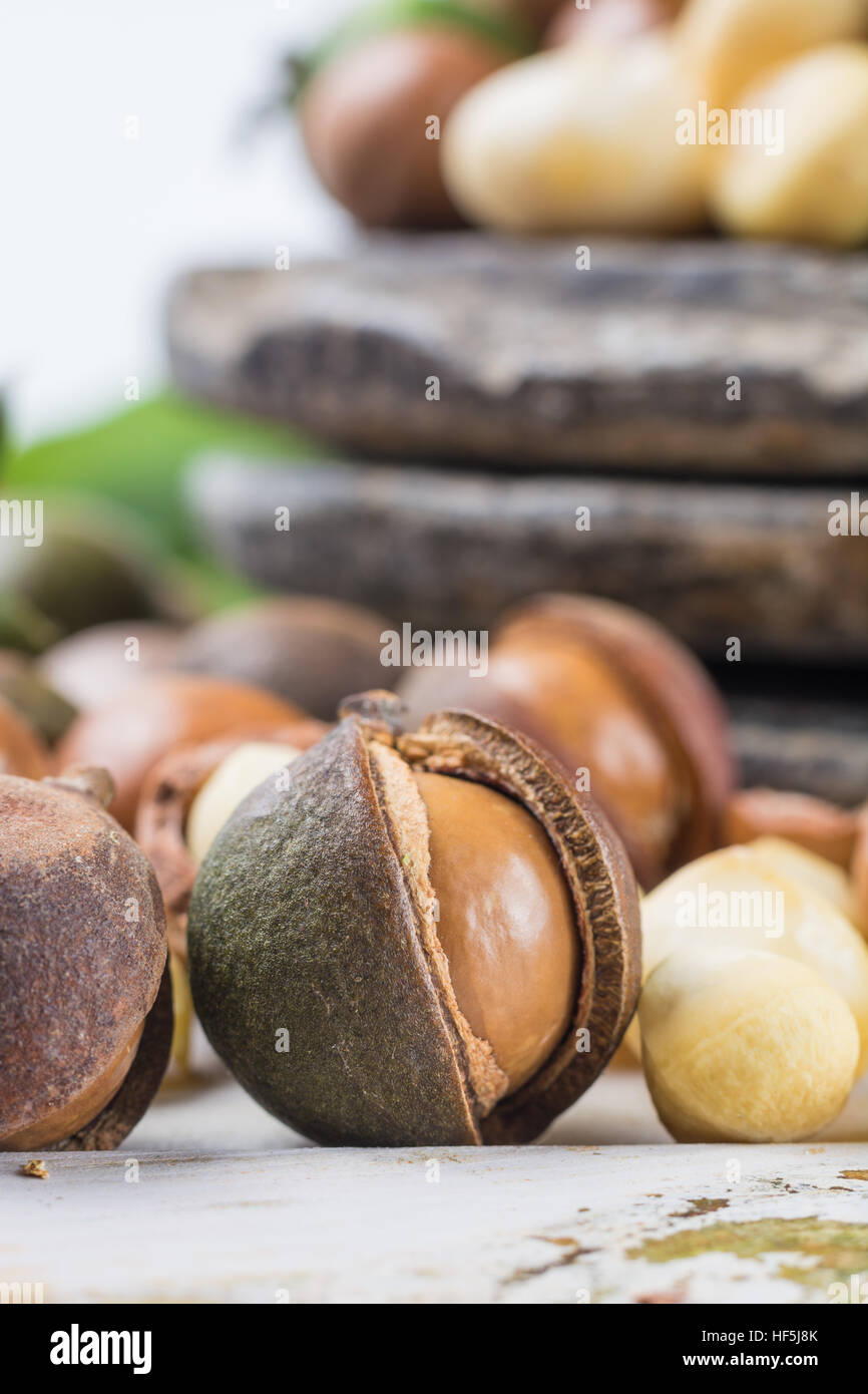 Macadamia nuts harvest close up Stock Photo - Alamy