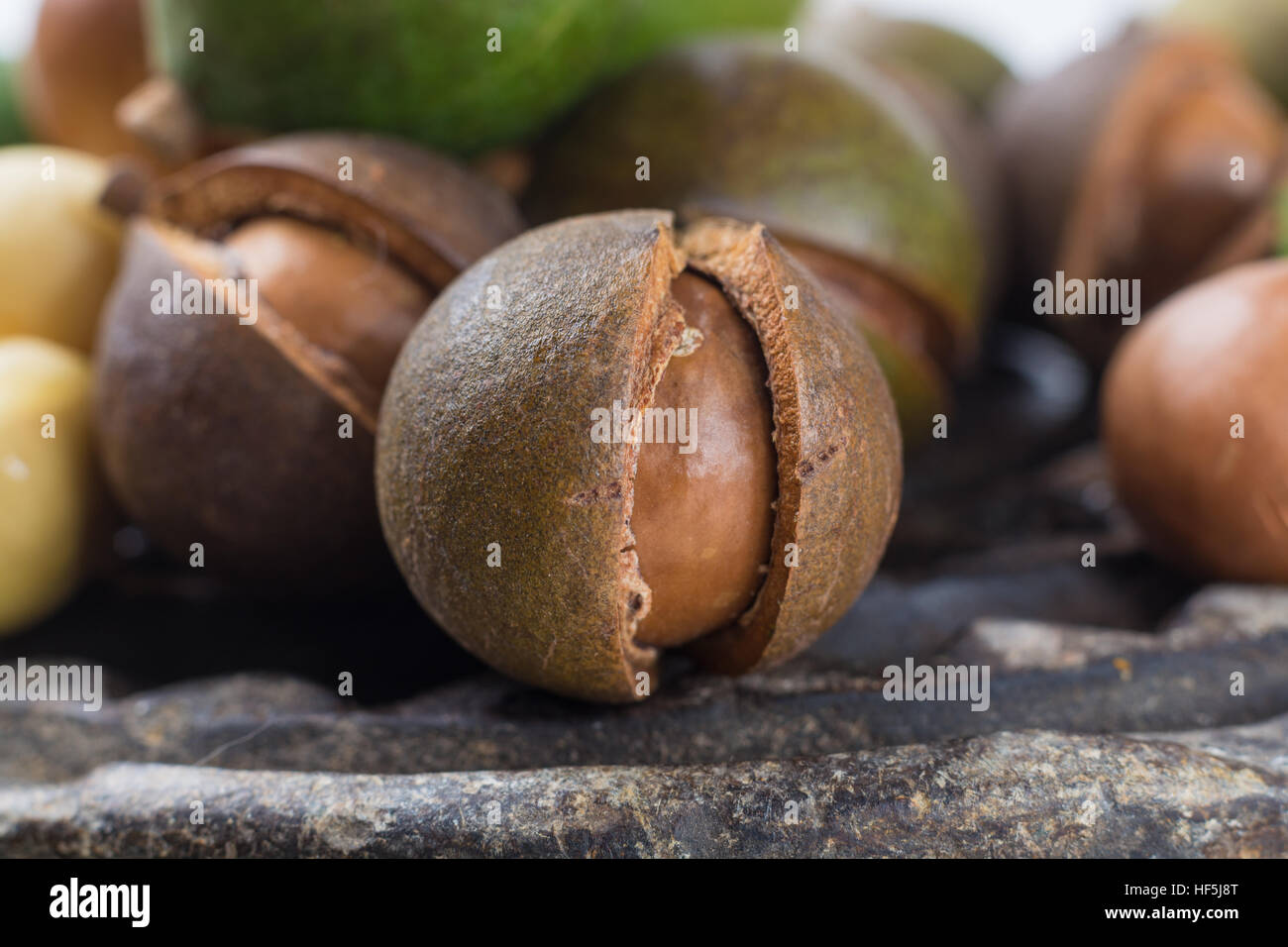 Macadamia nuts harvest close up Stock Photo - Alamy