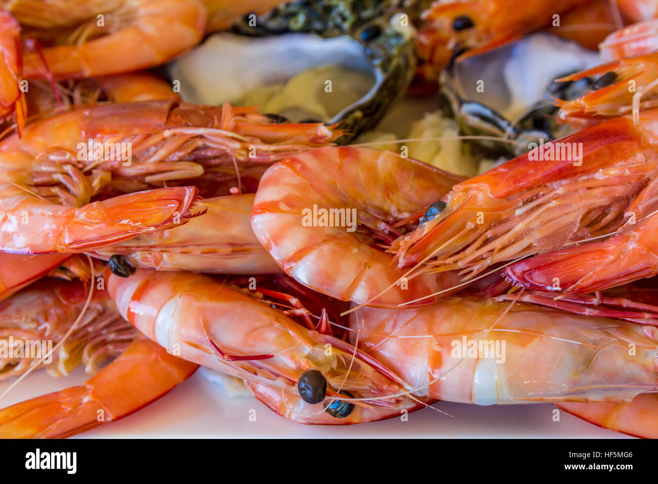 Wild black tiger prawns hi-res stock photography and images - Alamy
