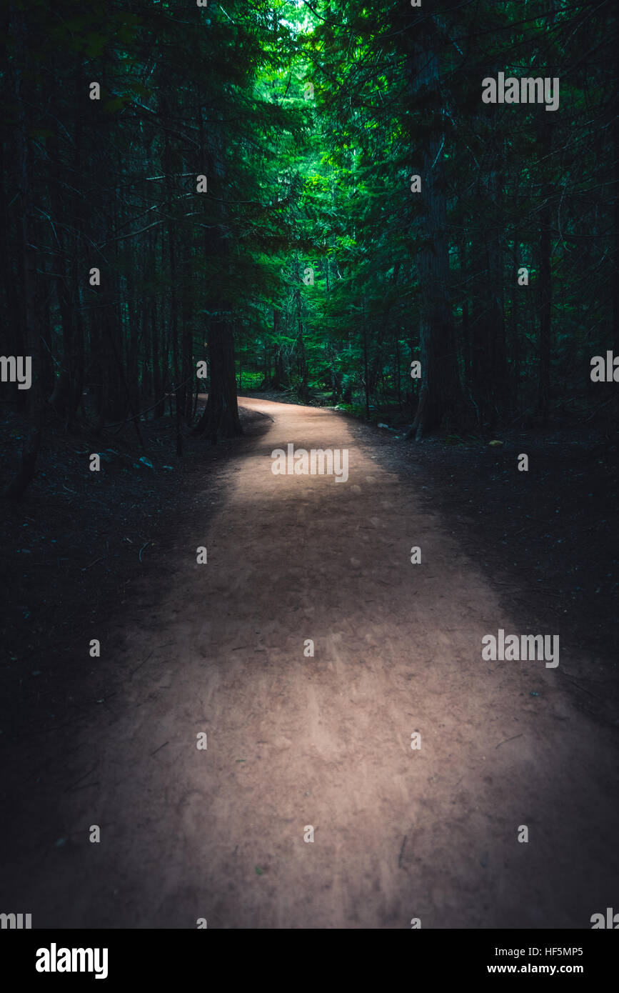 Dark trail landscape hi-res stock photography and images - Alamy