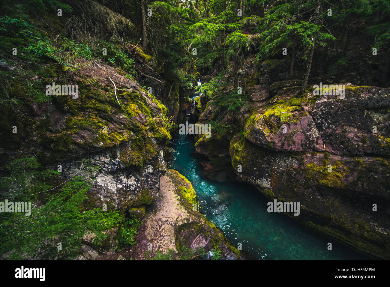 A brook flowing through moss covered boulders Stock Photo - Alamy