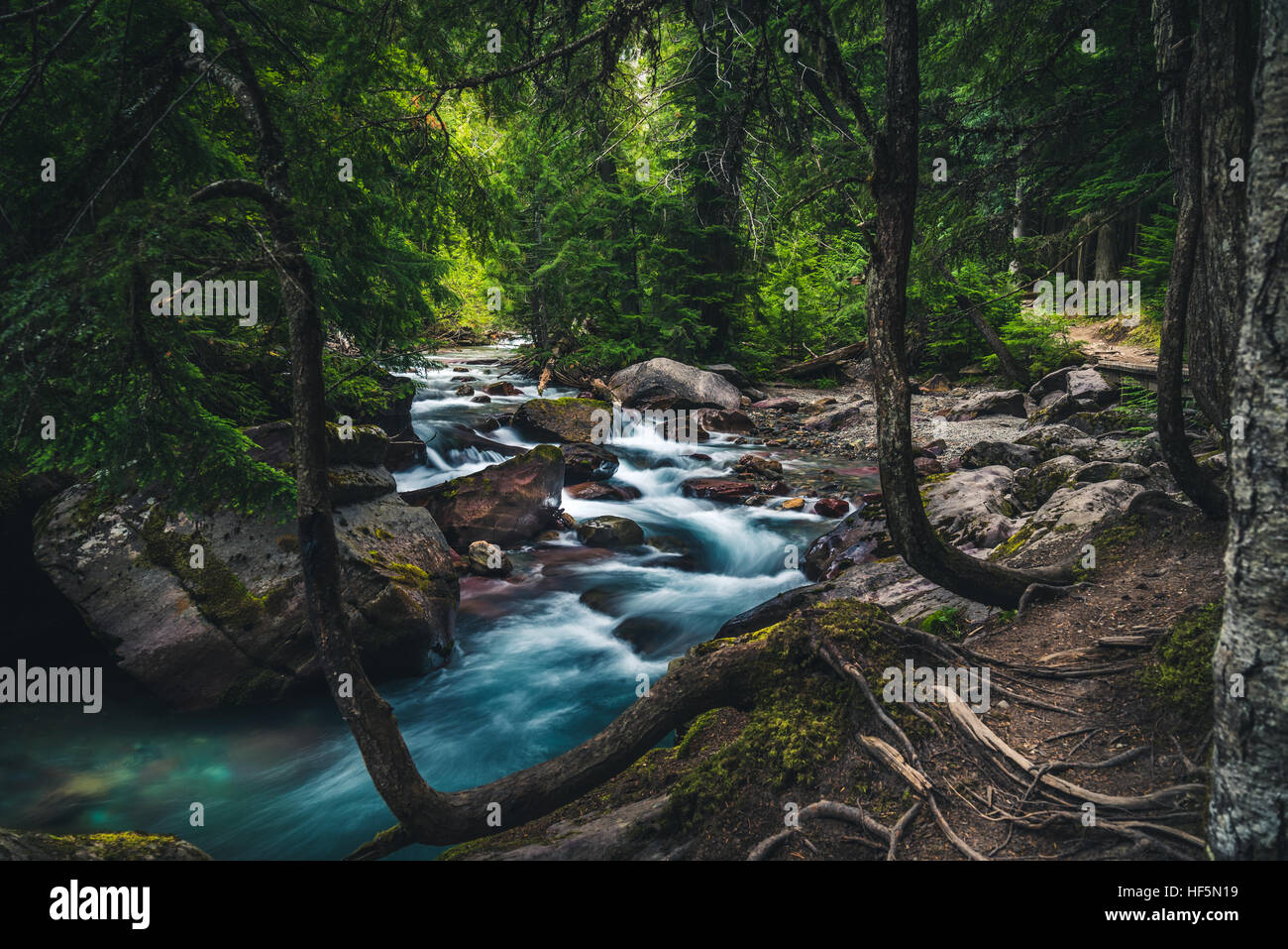 Hiking trail by a flowing river Stock Photo - Alamy
