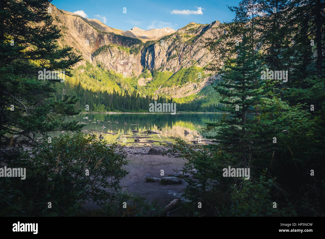 Beautiful lake surrounded by evergreen trees hi-res stock photography ...