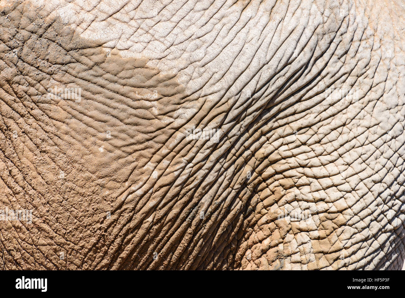 Elephant Skin Abstract Texture Background Stock Photo - Alamy
