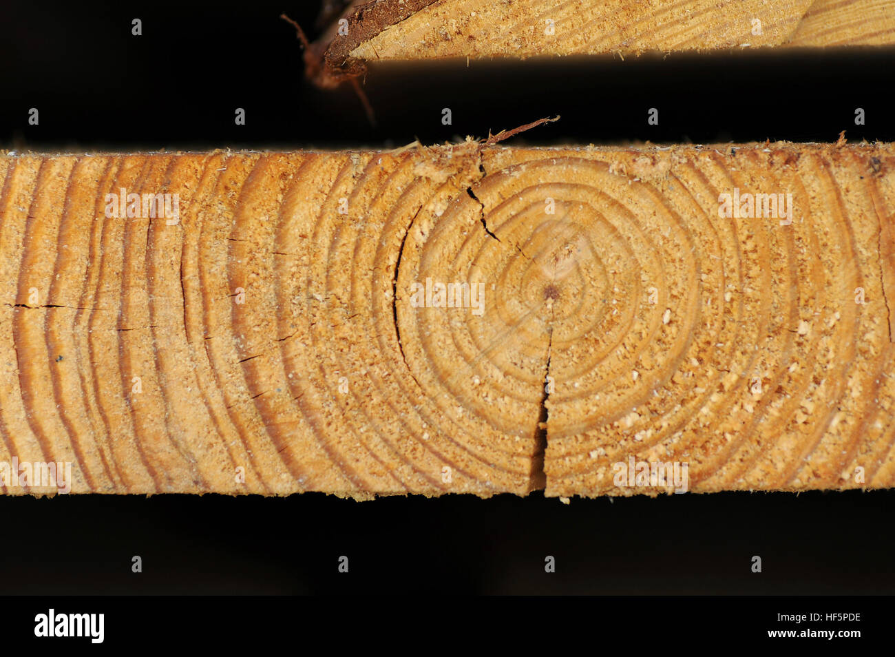 The textured cut trees Stock Photo - Alamy