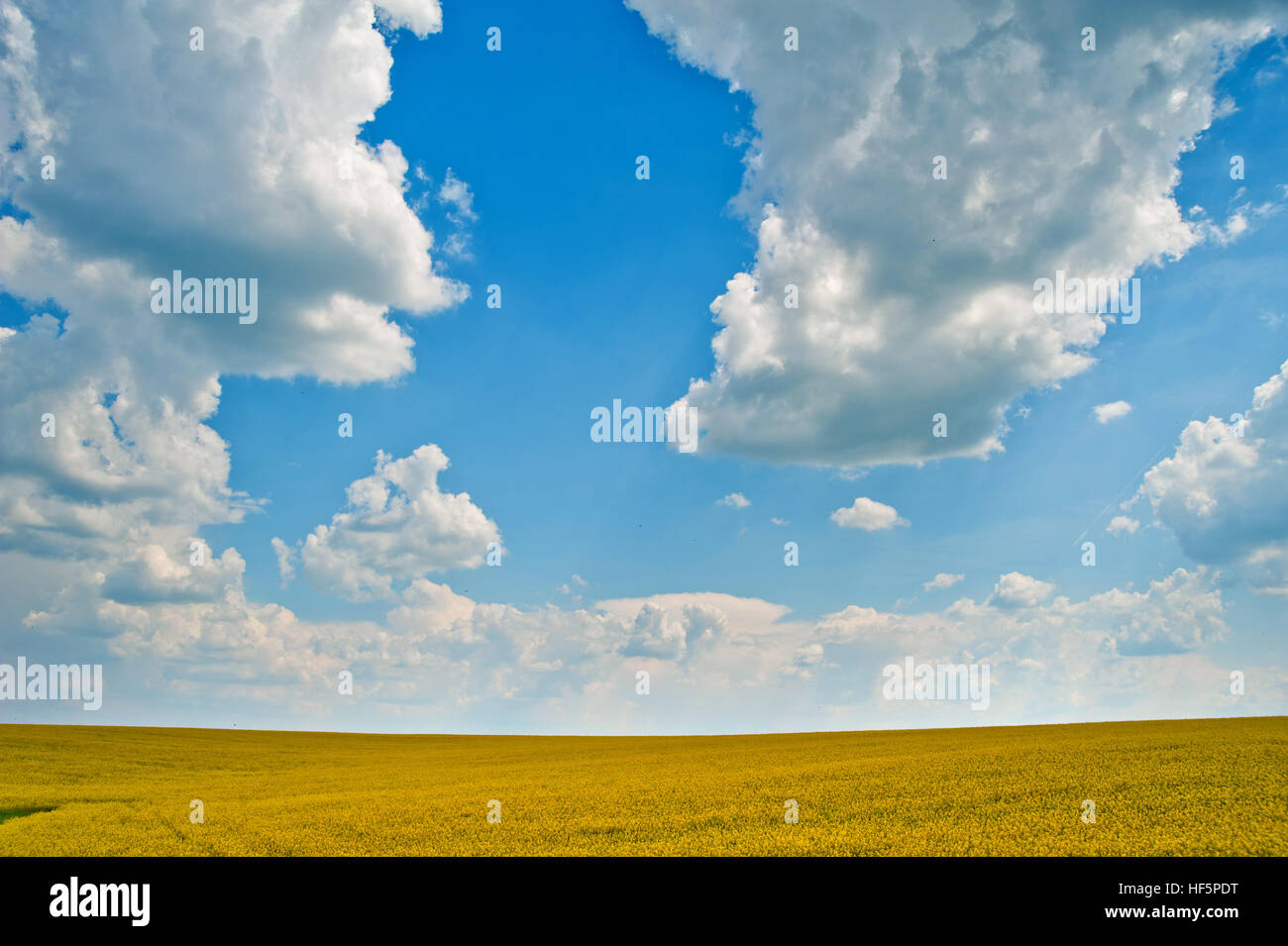 Ukraine landscape in spring Stock Photo - Alamy