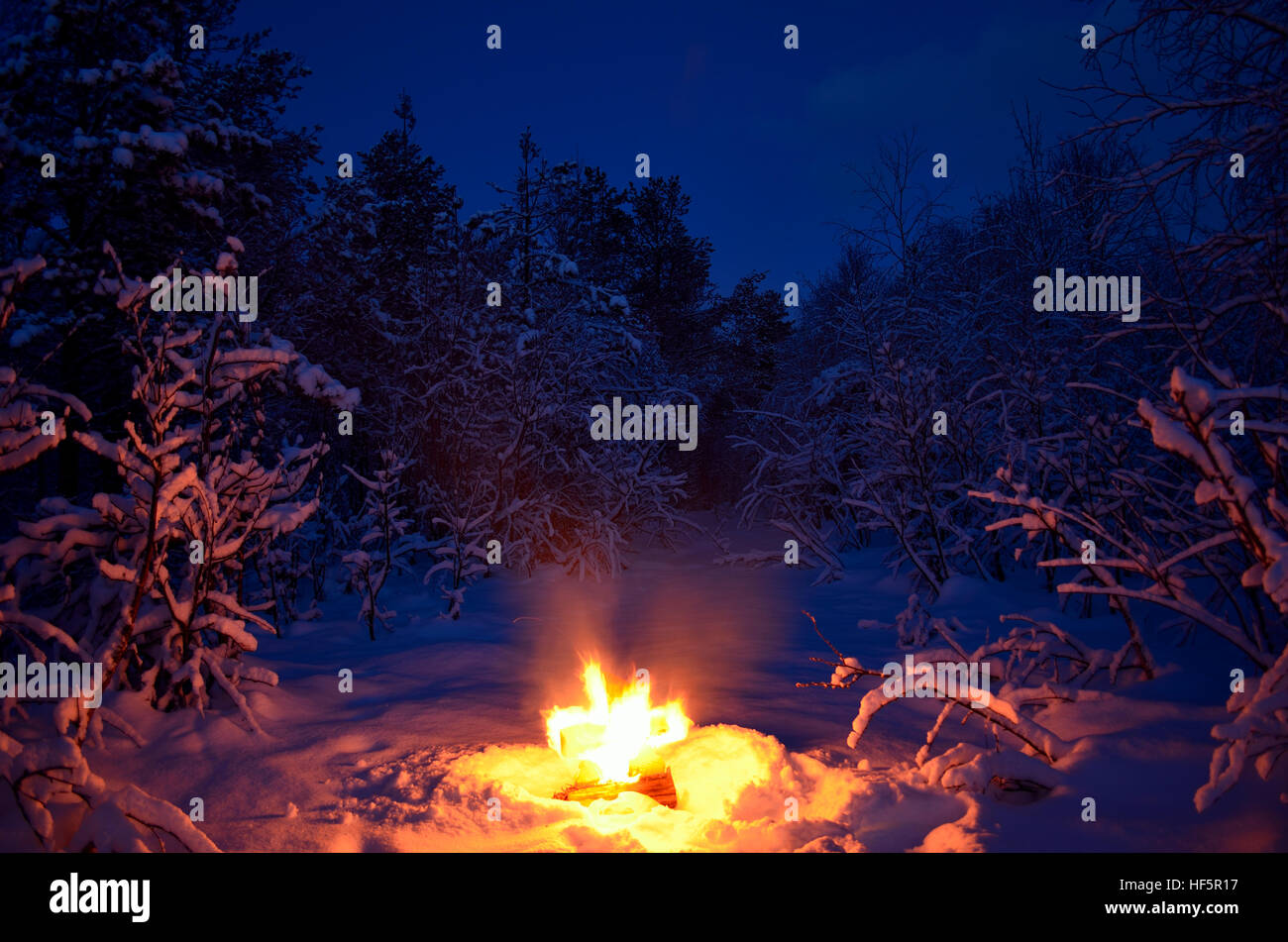 hot warming campfire in snowy winter forest Stock Photo - Alamy