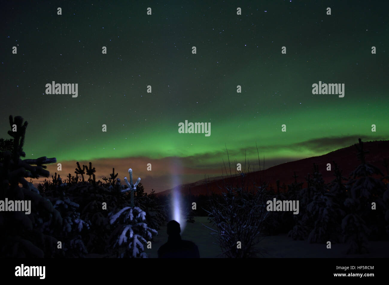 person pointing flashlight beam towards aurora borealis on winter night ...