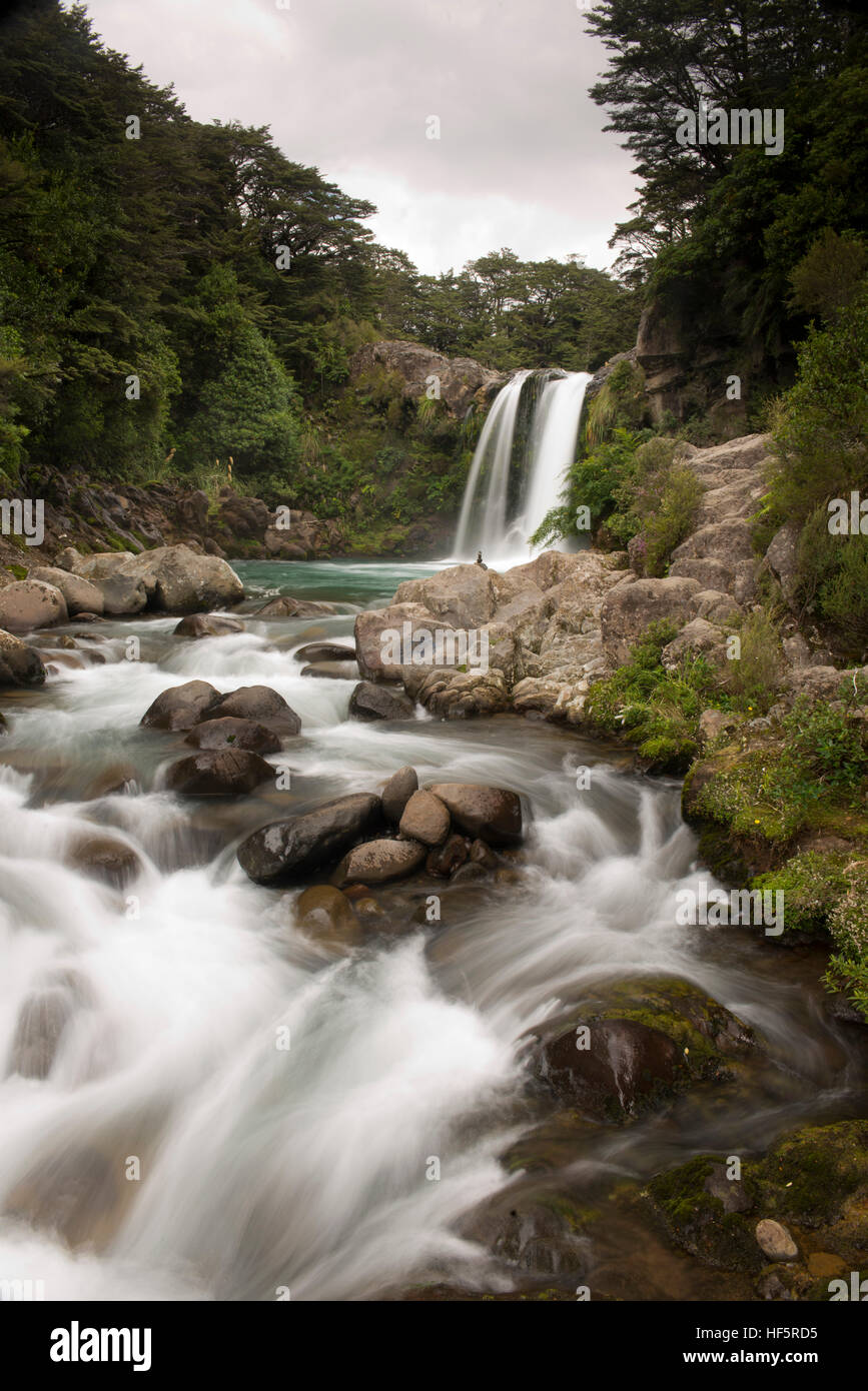 Tawhai Falls is 13 metre high waterfall located in Tongariro National ...