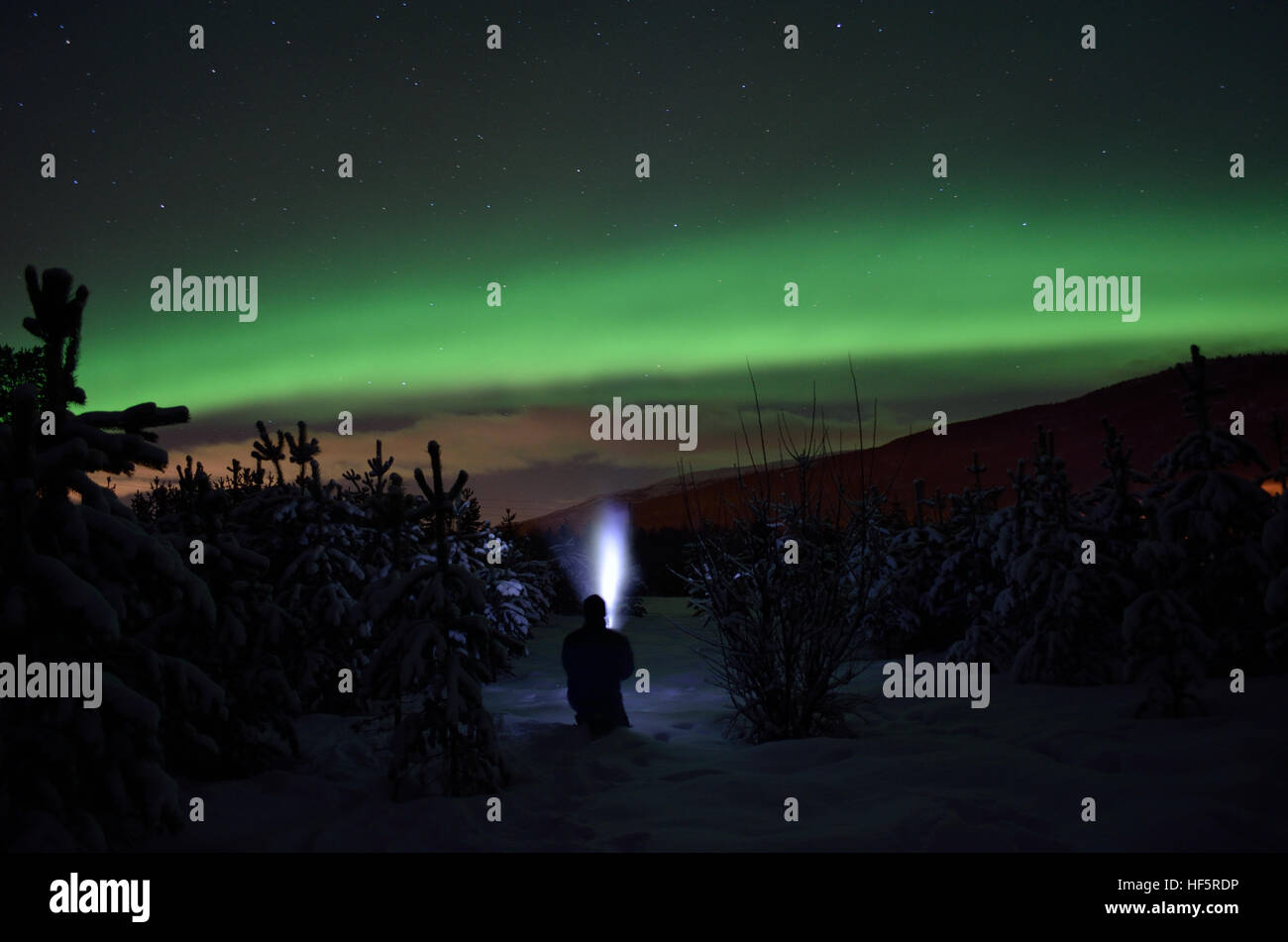 person pointing flashlight beam towards aurora borealis on winter night ...