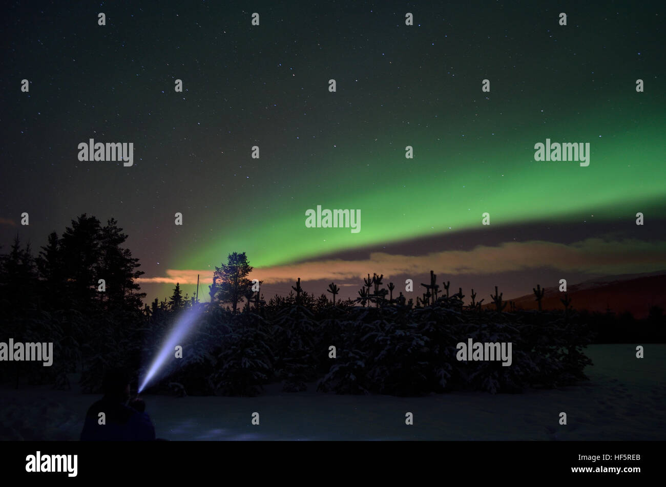 person pointing flashlight beam towards aurora borealis on winter night ...