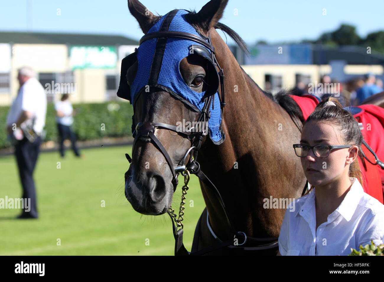 Horse parade ground Ballinrobe Races County Mayo Ireland Stock Photo ...