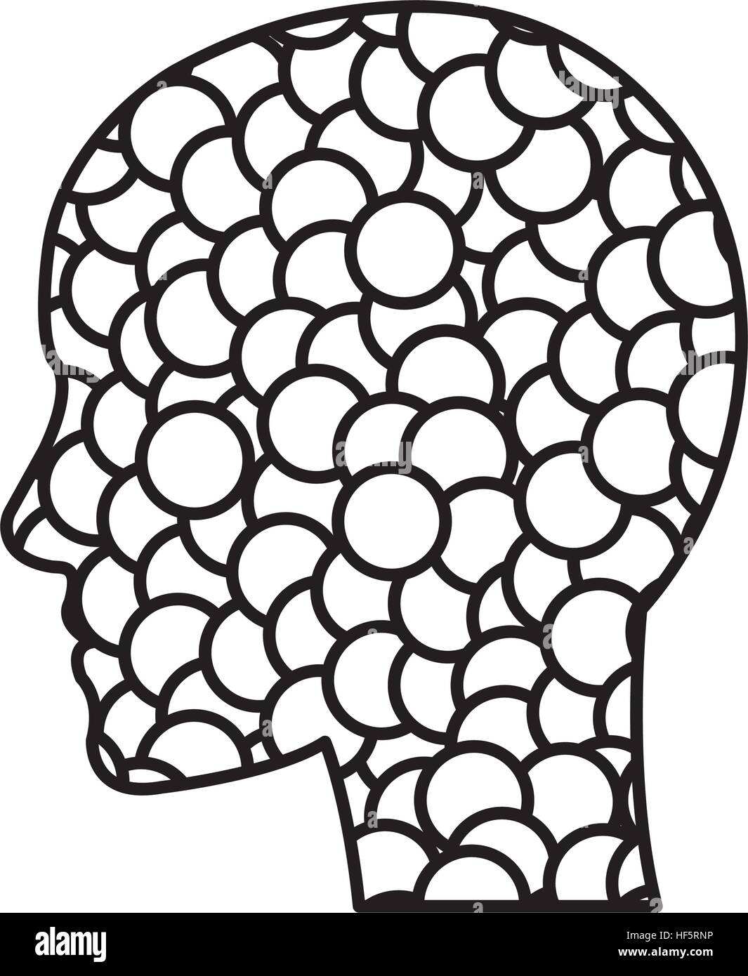 Human head silhouette icon vector illustration graphic design Stock ...