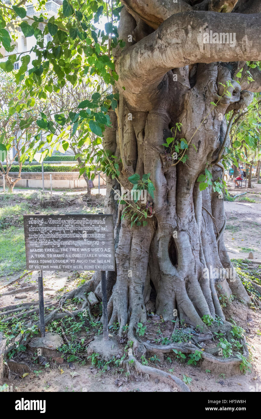 Choeung Ek Genocidal Center Memorial The magic tree Stock Photo - Alamy