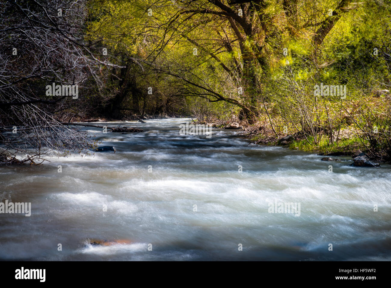 Forest river nature hi-res stock photography and images - Alamy