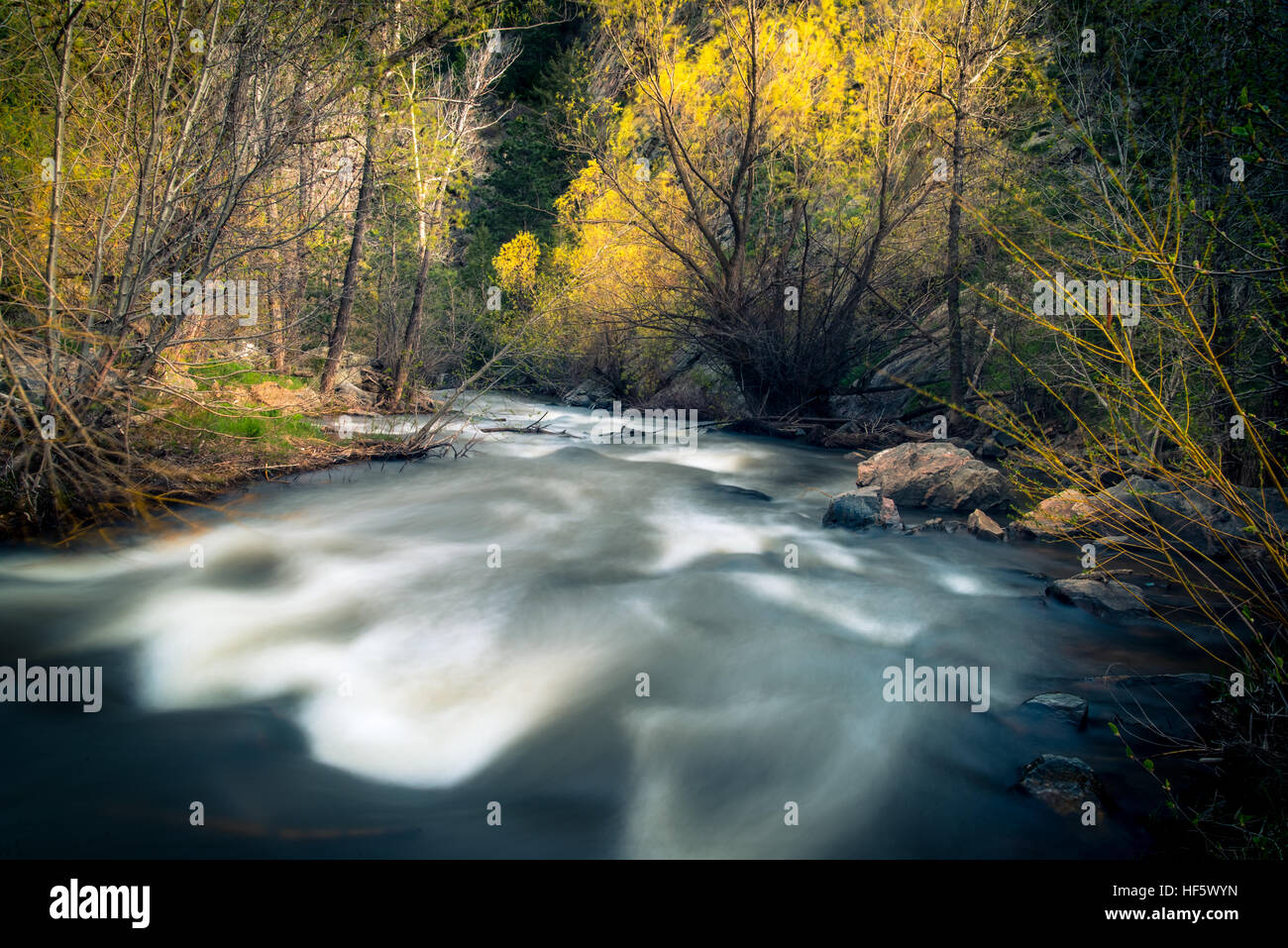 Rushing river colorado hi-res stock photography and images - Alamy