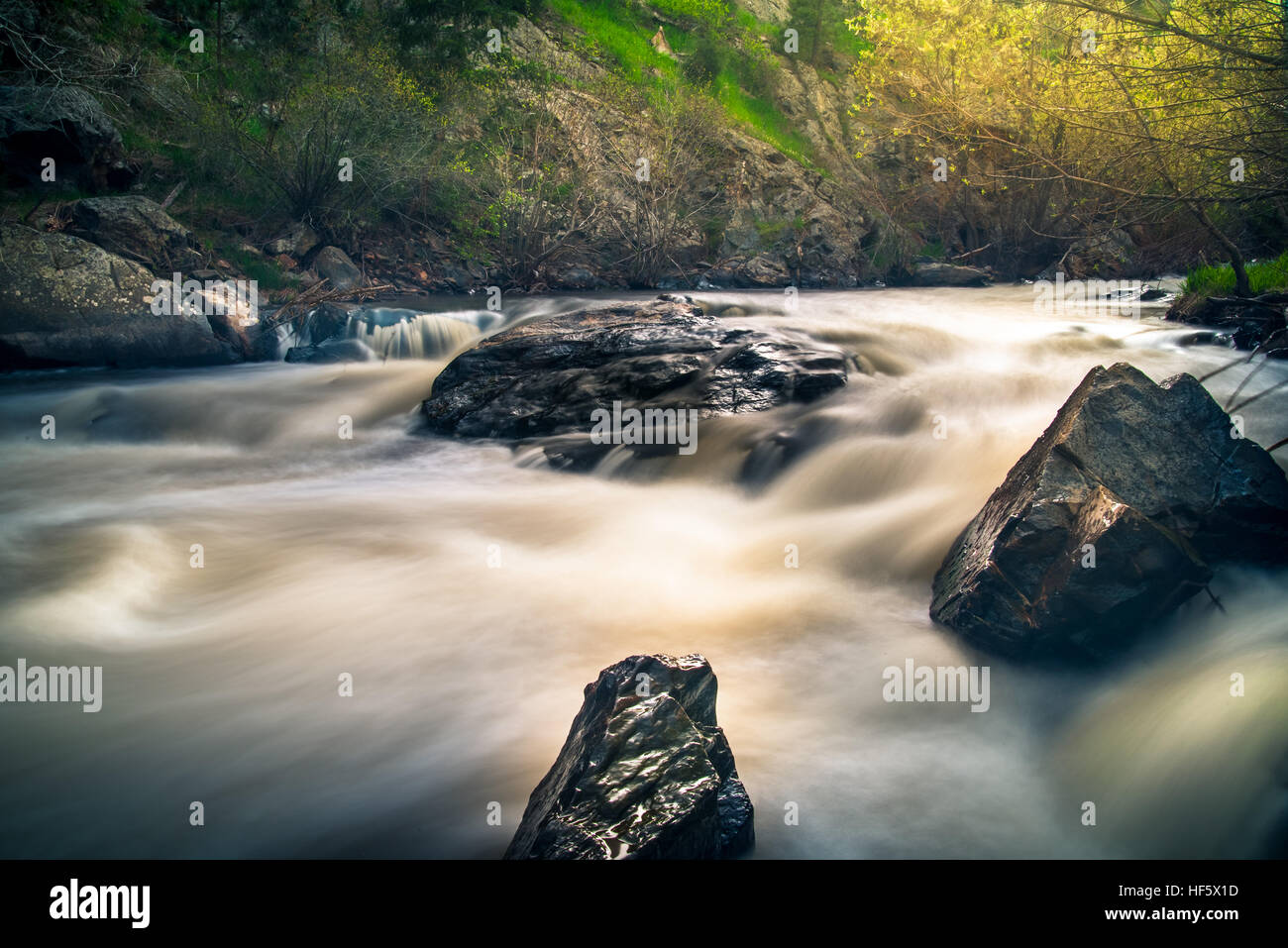 Landscape of a rushing river in the forest Stock Photo - Alamy