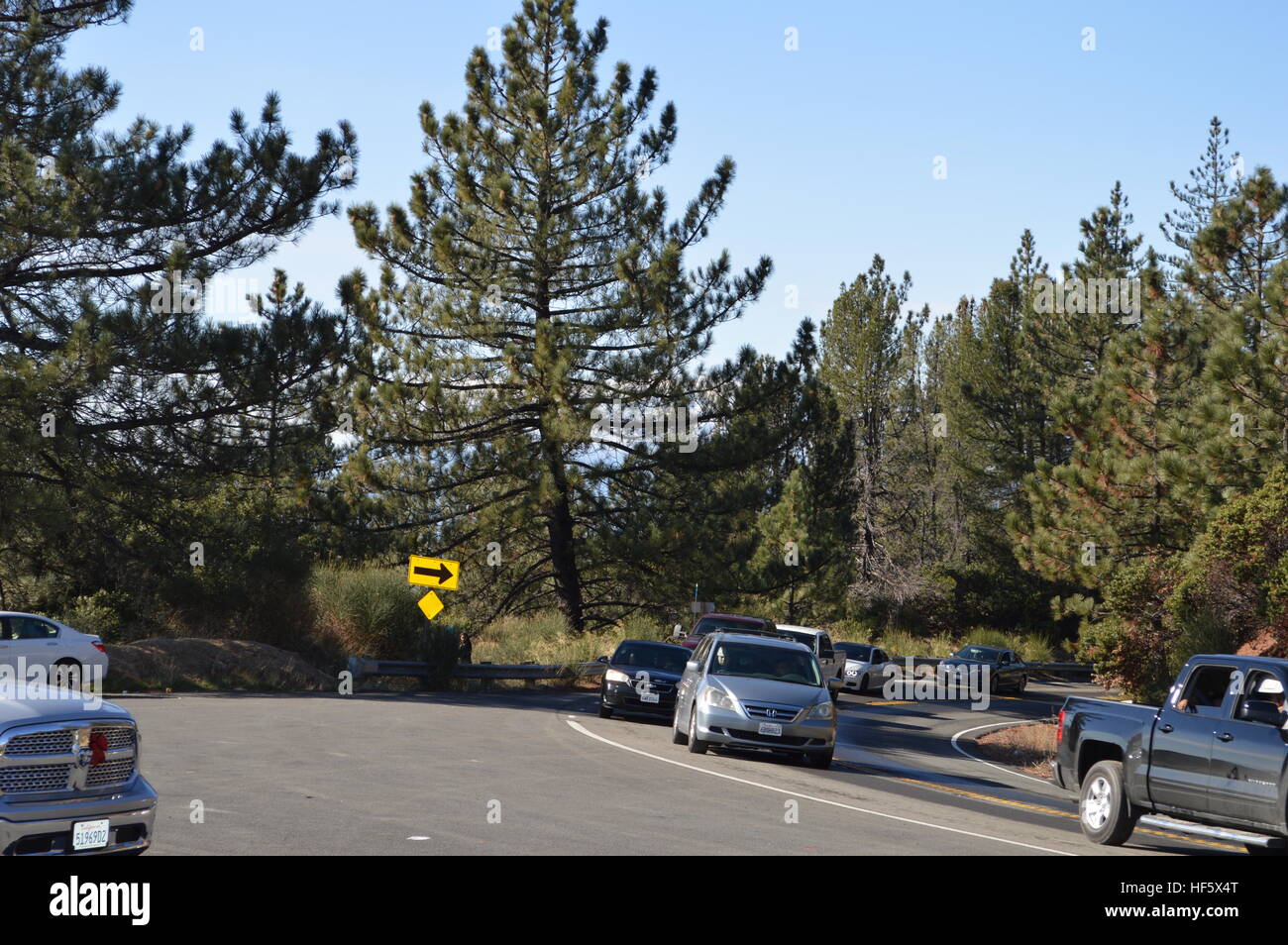 Traffic in Forest Stock Photo - Alamy