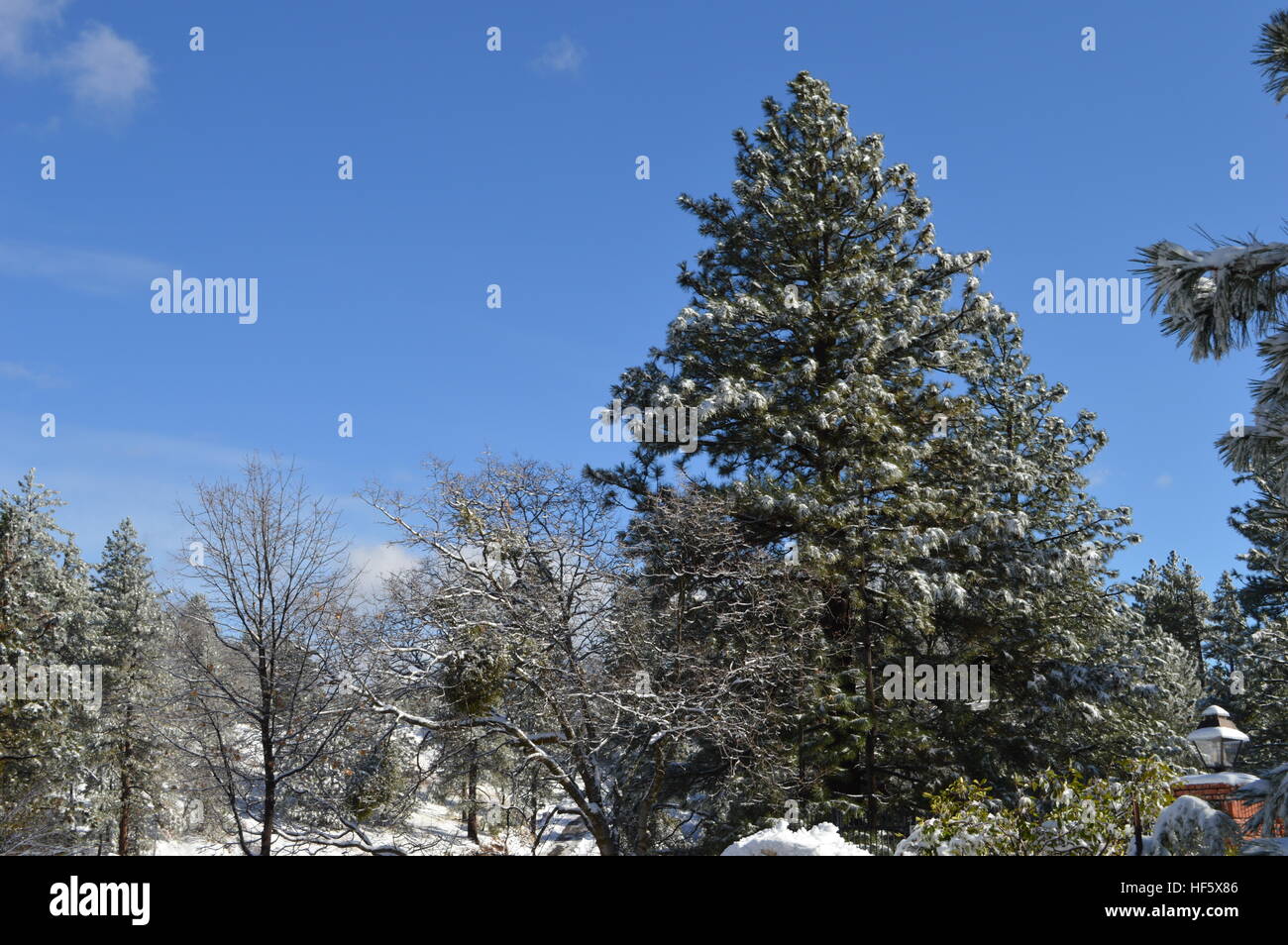 Los angeles mountains snow hi-res stock photography and images - Alamy