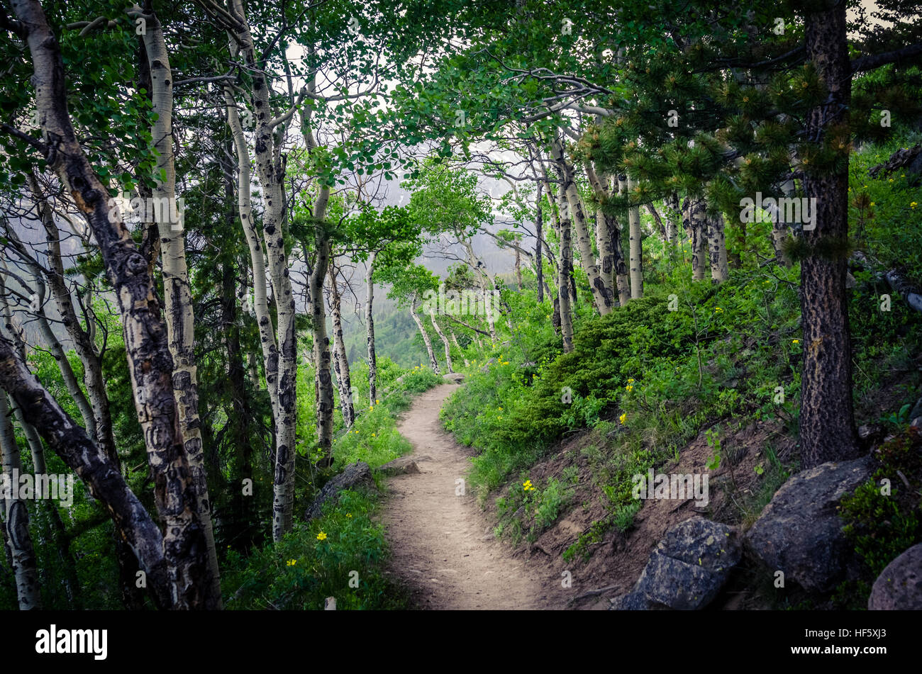 Hiking path in the mountains Stock Photo - Alamy