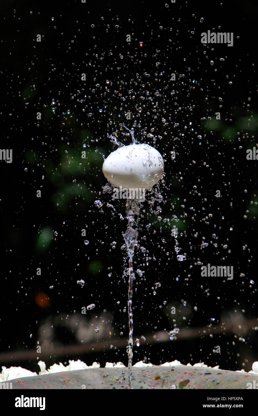 The dancing egg. Feast of Corpus Christi. Barcelona, Catalonia, Spain ...