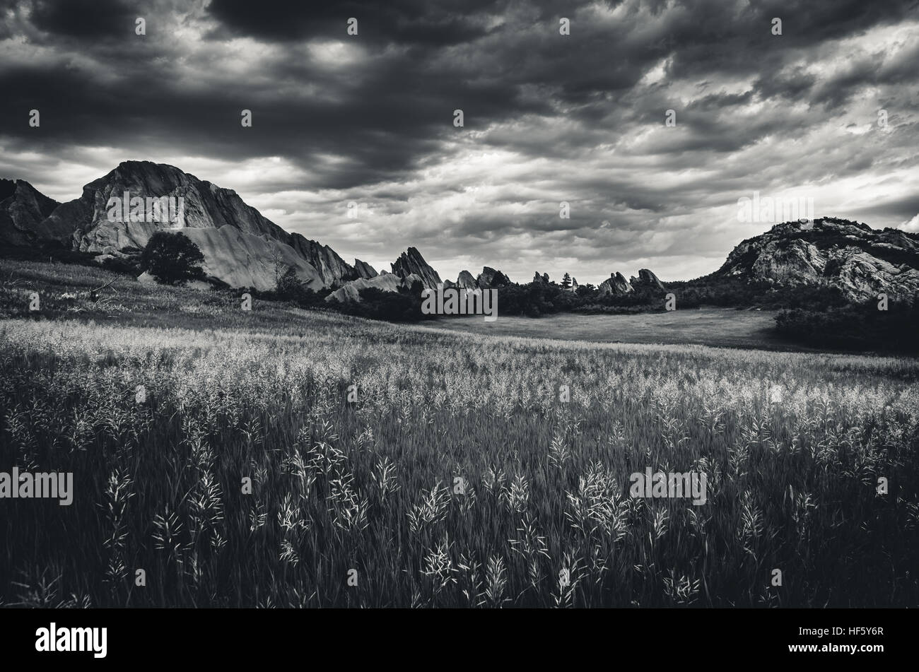 Black and white landscape of a grassy field before a storm Stock Photo ...