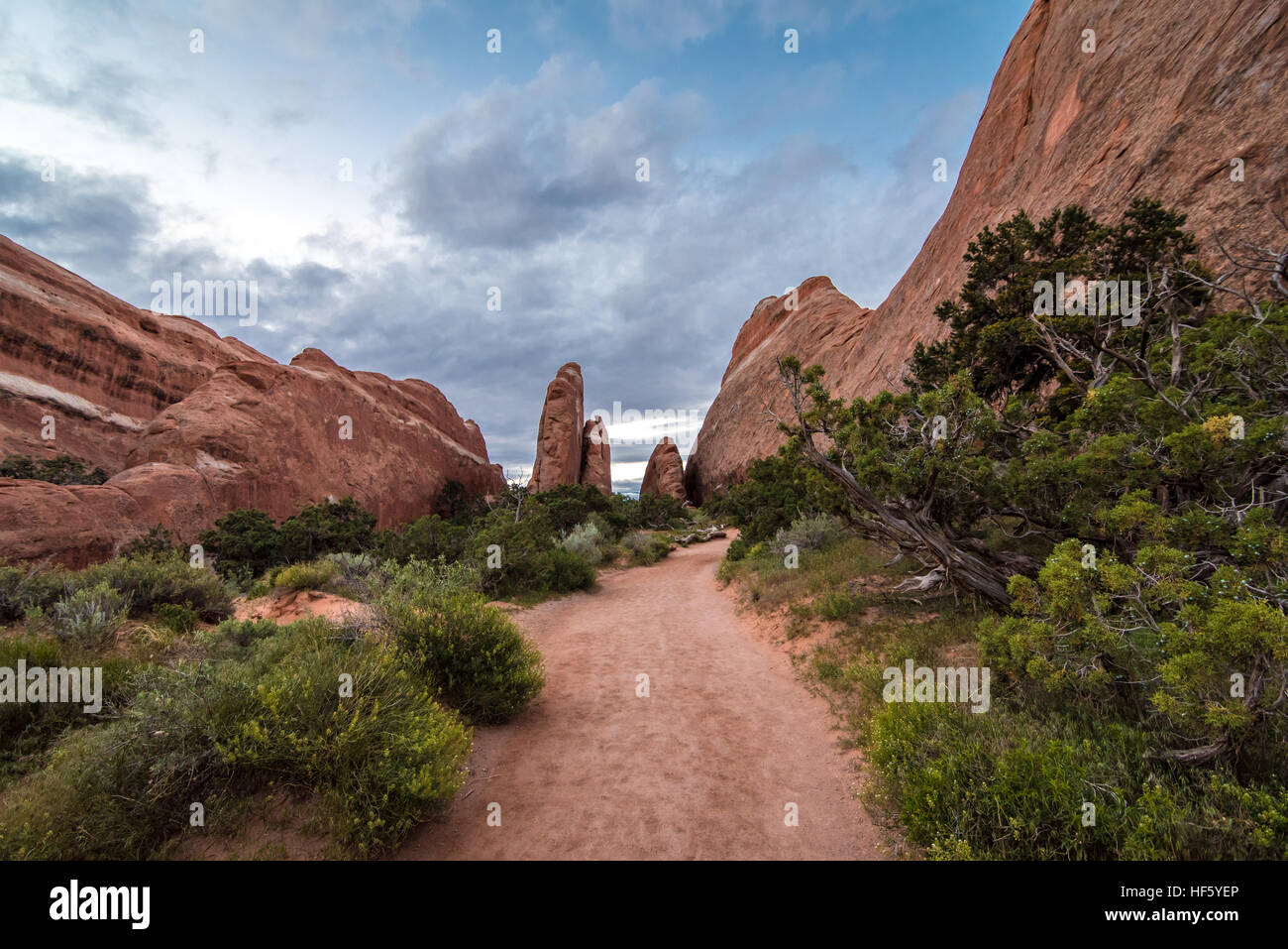 Path in the desert hi-res stock photography and images - Alamy
